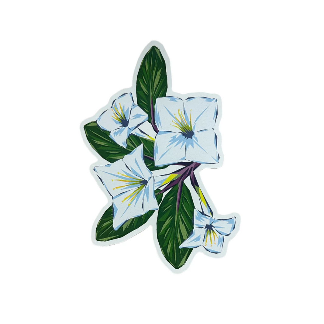 ACCESSORIES – Heirs To Islands
